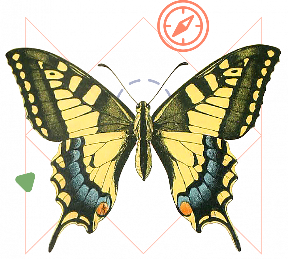 Living Learning Homeschool | Charlotte Mason Homeschool Provider